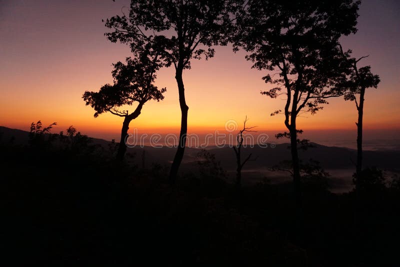 Wake up Trees stock image. Image of trees, sunrise, background - 159784689
