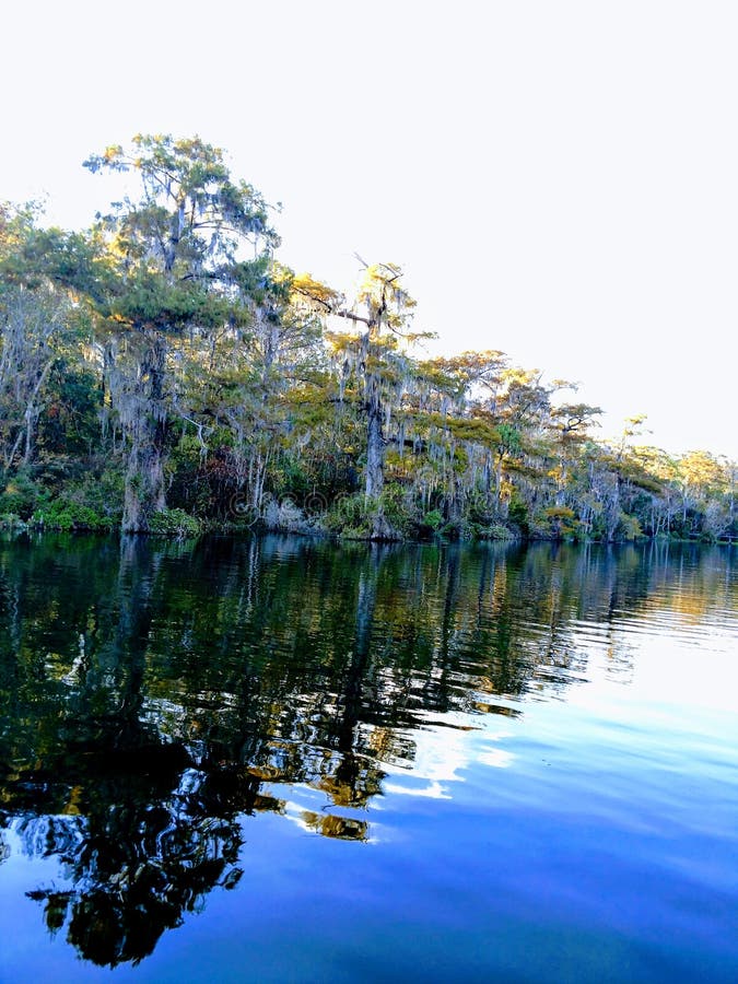 Wakulla River in Florida stock image. Image of wakulla - 171594889