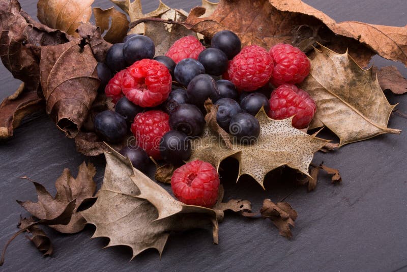 Waldfrüchte stockfoto. Bild von waldfrüchte - 32267050