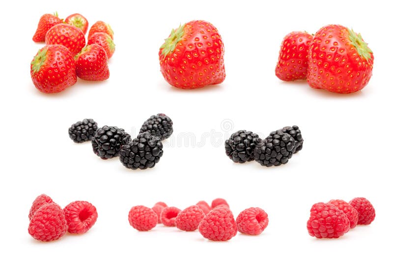 Waldfrüchte stockfoto. Bild von waldfrüchte - 32267050