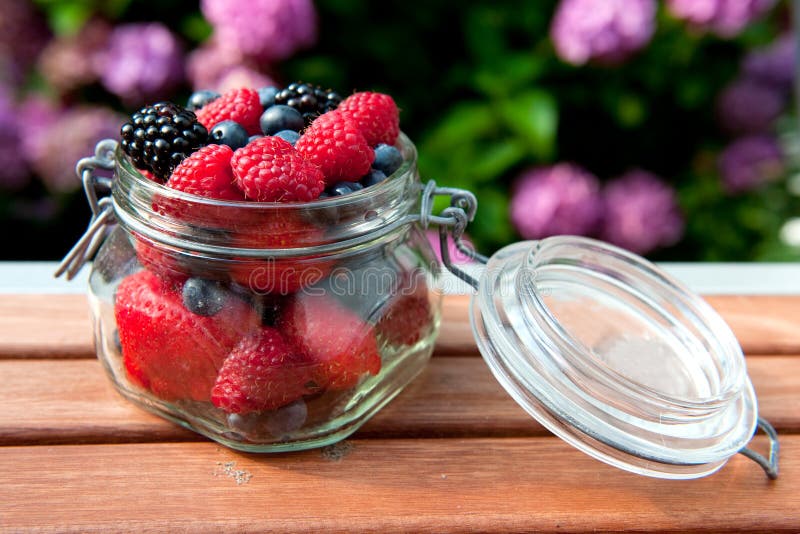 Waldfrucht stockbild. Bild von blaubeere, moosbeere, bunt - 33655169