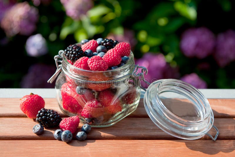 Waldfrucht-Tee stockbild. Bild von waldfrucht - 14533451