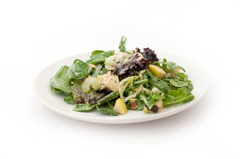 Waldorf Healthy Salad Side View Stock Photo - Image of meal, plate ...