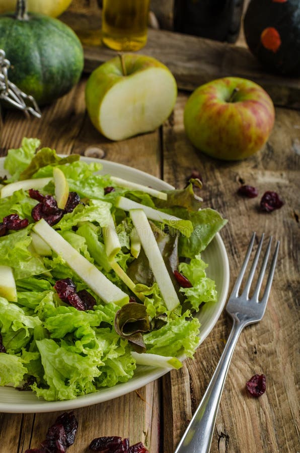 Waldort salad stock image. Image of domestic, food, apples - 59952663