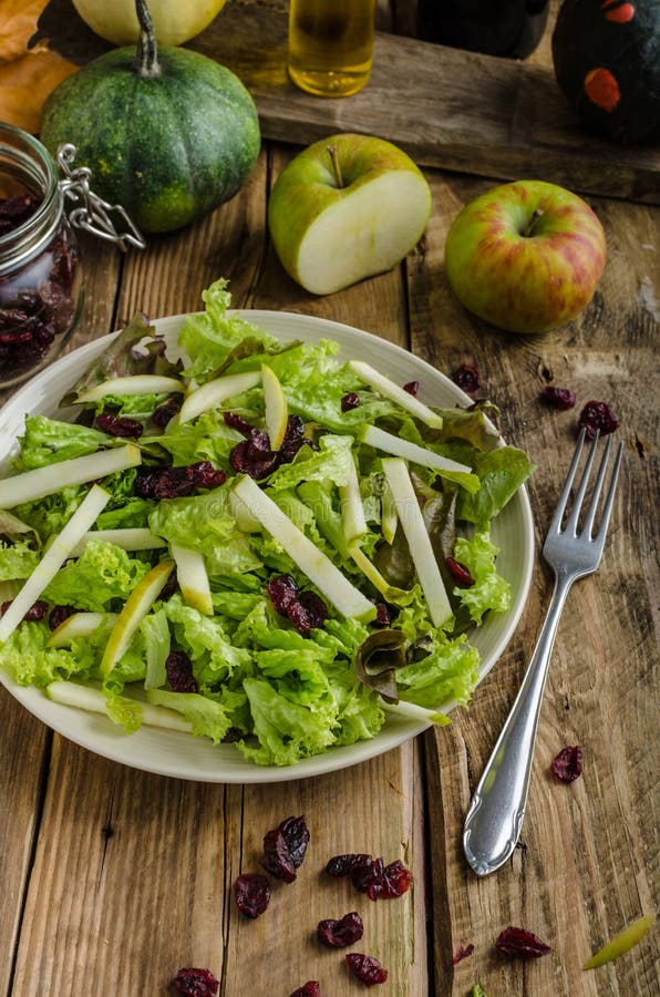 Waldort salad stock photo. Image of entree, moody, dish - 59953470