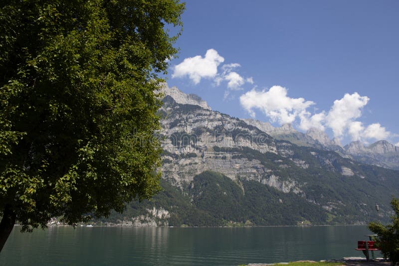 Walensee Lake in Murg, Switzerland Stock Photo - Image of outdoor ...
