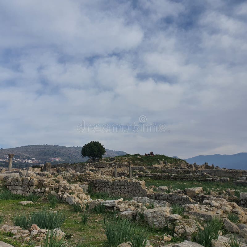 Walili Morocco Monument Historique Stock Image - Image of plain ...