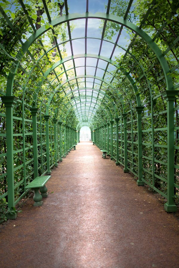 Walk alley stock photo. Image of deciduous, environment - 30650558