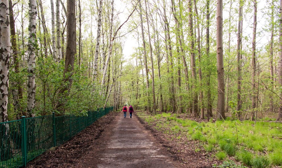 Walk Along the Forest Path in the Spring Stock Image - Image of jackets ...