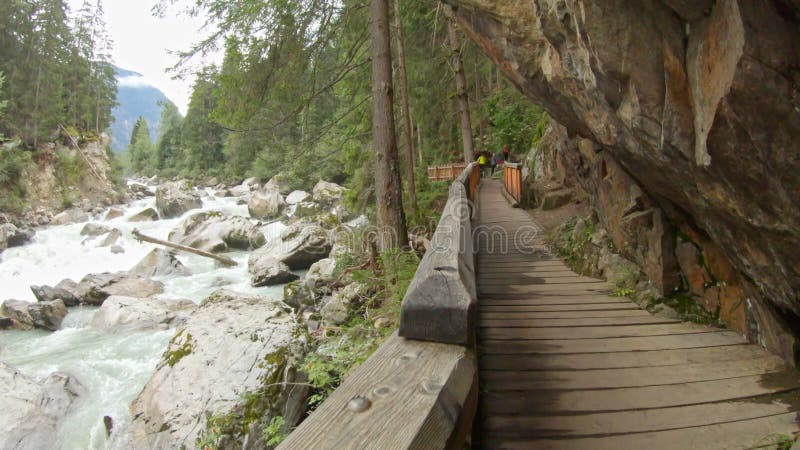 Walk Along the Forest Road Along the River Stock Footage - Video of ...