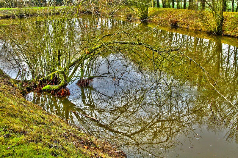 Walk Around a Pond in Autumn Stock Photo - Image of reflected, autumn ...