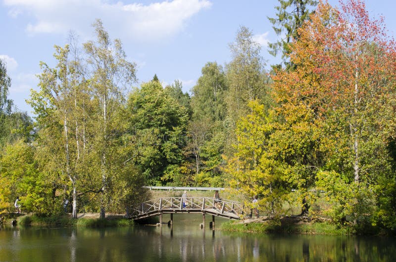 Walk through the Autumn Park with Ponds on a Sunny Day Stock Photo ...