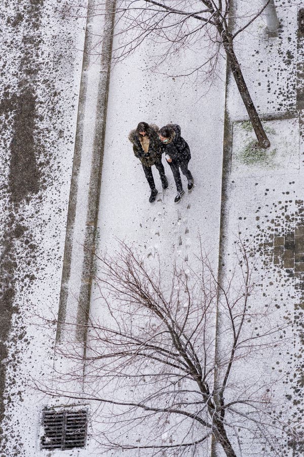 Walk backwards in the snow editorial photo. Image of cute - 358323966