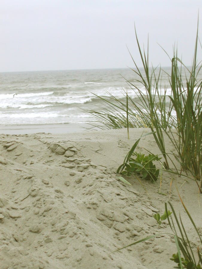 A Walk on the Beach stock photo. Image of shoreline, beach - 1169936