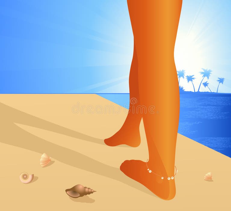 Shell Walk Stock Illustrations – 1,016 Shell Walk Stock Illustrations ...