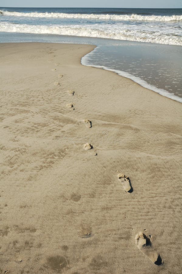 A Walk on the Beach in the Sand Alone Stock Photo - Image of beach ...