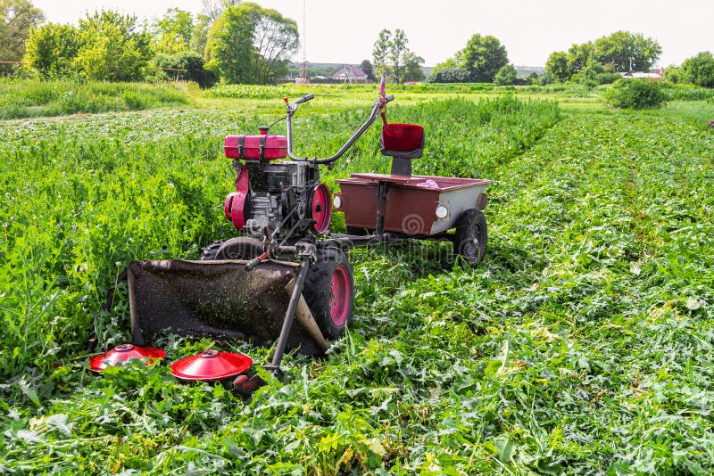 Walk-behind Tractor with Drives Disc Grass Cutter Stock Image - Image ...