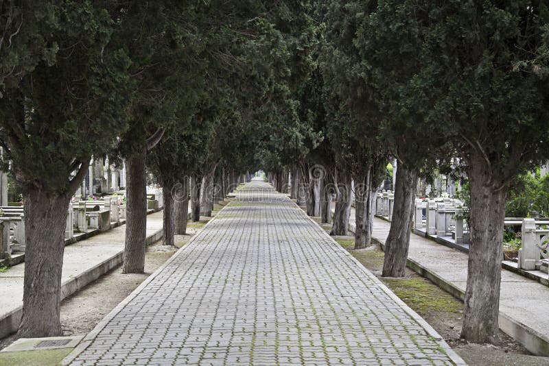 Walk in the Cemetery stock photo. Image of soil, green - 30837466