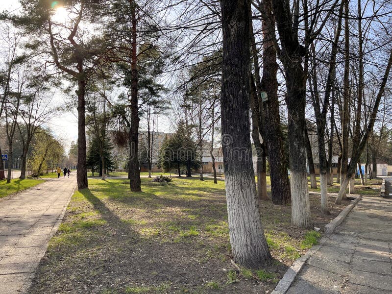 Early Spring Walk in the City Square Stock Photo - Image of relaxation ...