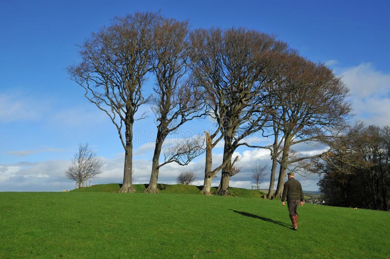 Walk in the countryside stock image. Image of peaceful - 17084403