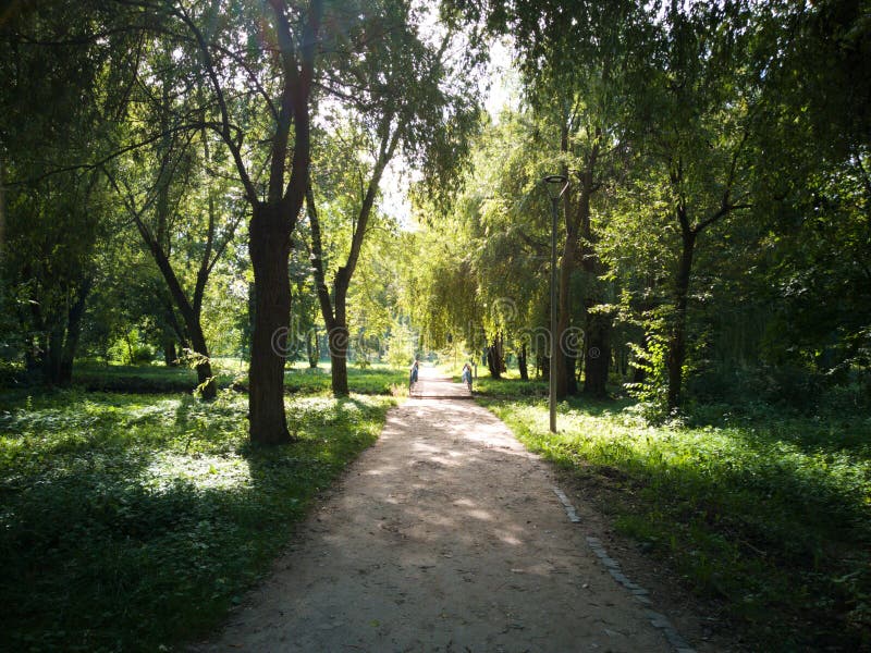 Walk on the cozy park stock image. Image of park, flowers - 229859101