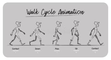 Walk Cycle Steps for Beginner with Kayframe Animation. Stock ...