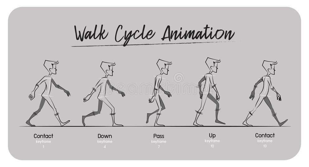 Walk Cycle Steps for Beginner with Kayframe Animation. Stock ...