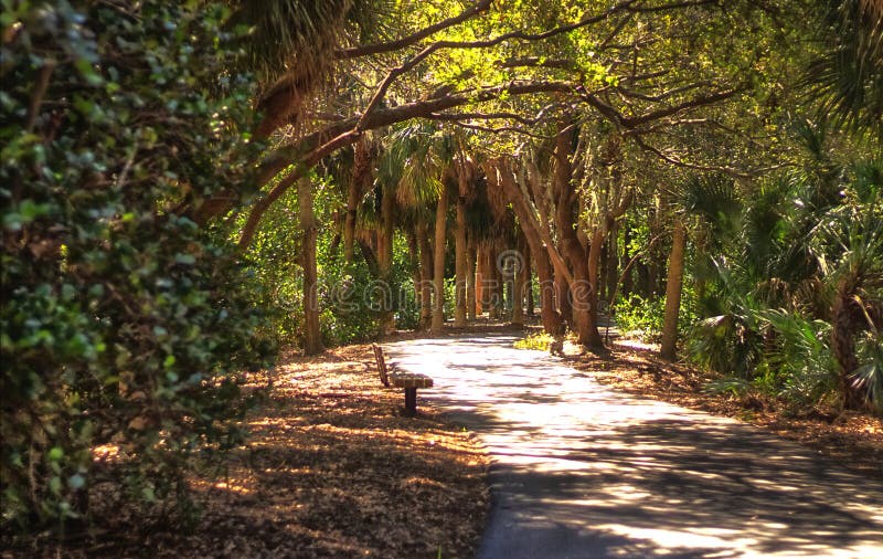 Walk down the long path stock image. Image of taking - 112681225