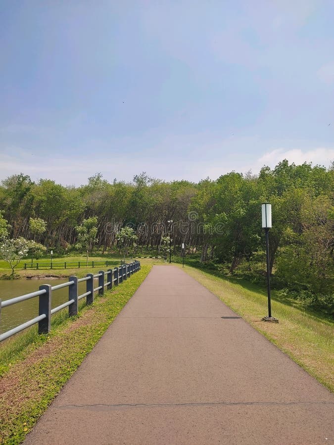 Walk Down the Street Park. Park Lamp Forests View Stock Image - Image ...