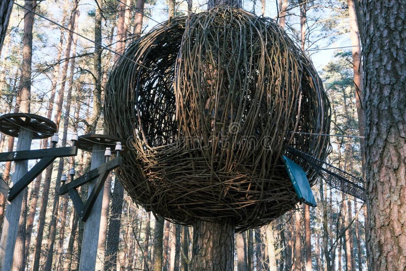 Walk through the Ends of Trees. Virtual Branch Socket. Stock Image ...