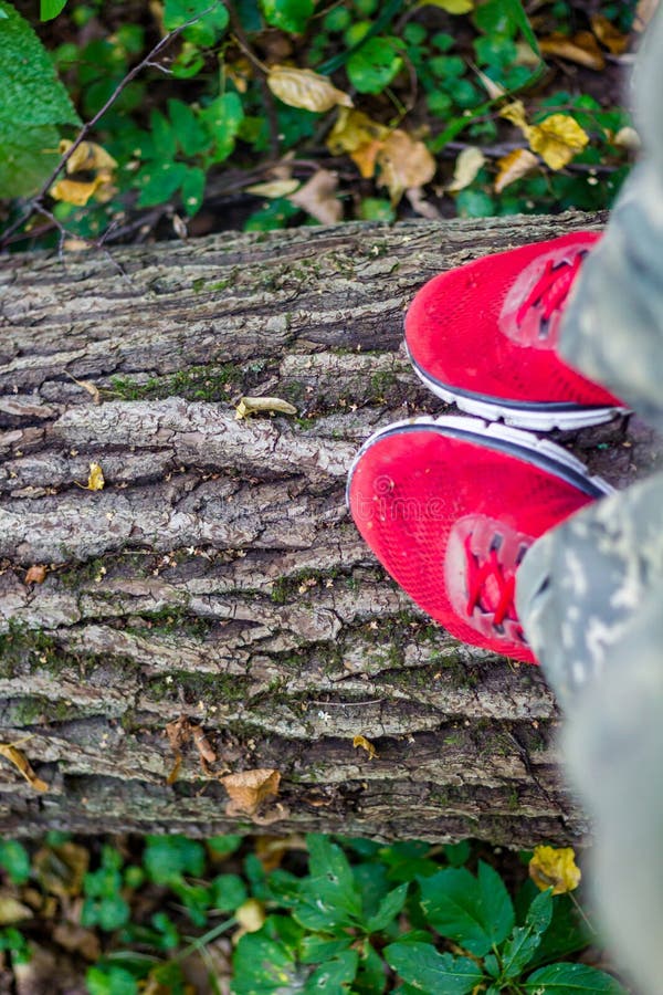 Walk on a Fallen Tree, Red Boots on the Trunk Stock Image - Image of ...