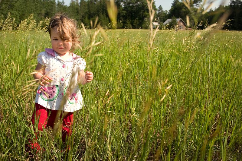 A Walk in the Field stock image. Image of countryside - 4290499