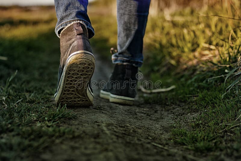 Walk in the field stock image. Image of green, autumn - 92719185