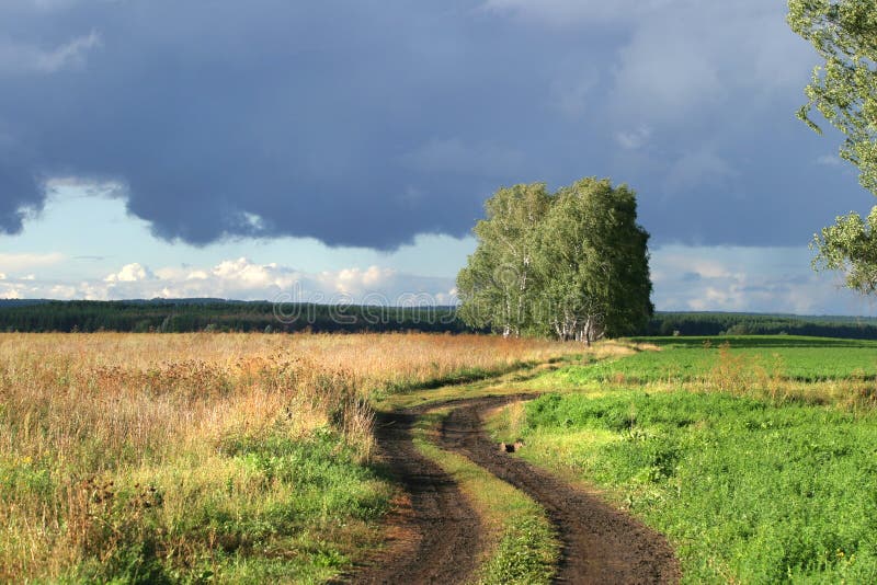 Walk in the Field before the Rain Stock Photo - Image of path, season ...