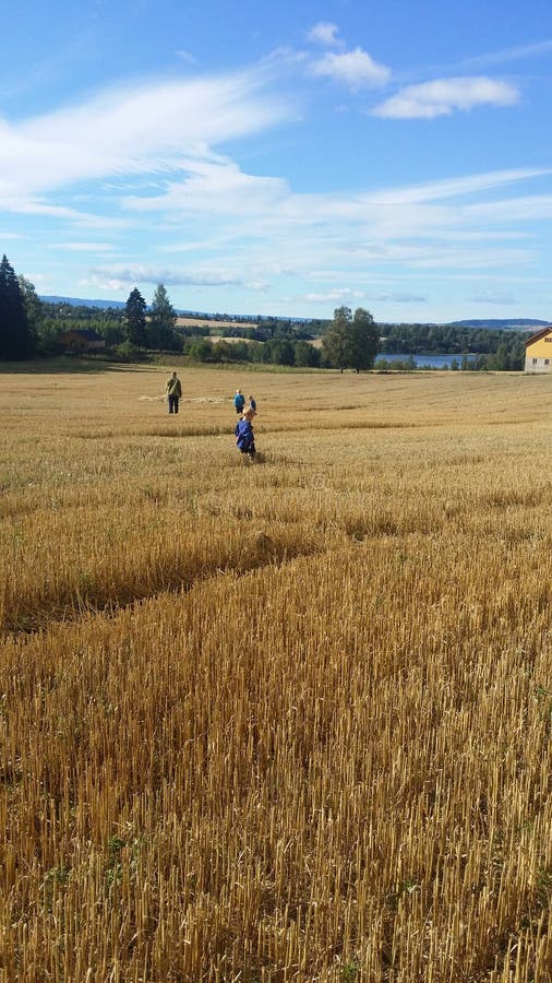 Walk in the fields editorial image. Image of walk, field - 64323825