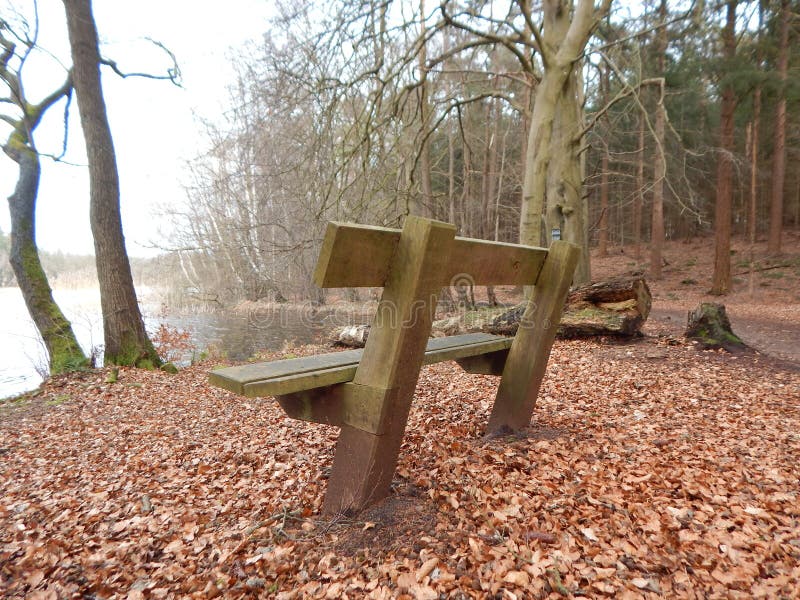 Walk through the Forest in Spring Stock Photo - Image of yard, park ...