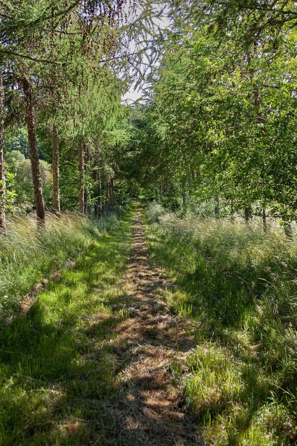 Walk in the French Countryside Stock Photo - Image of holidays ...