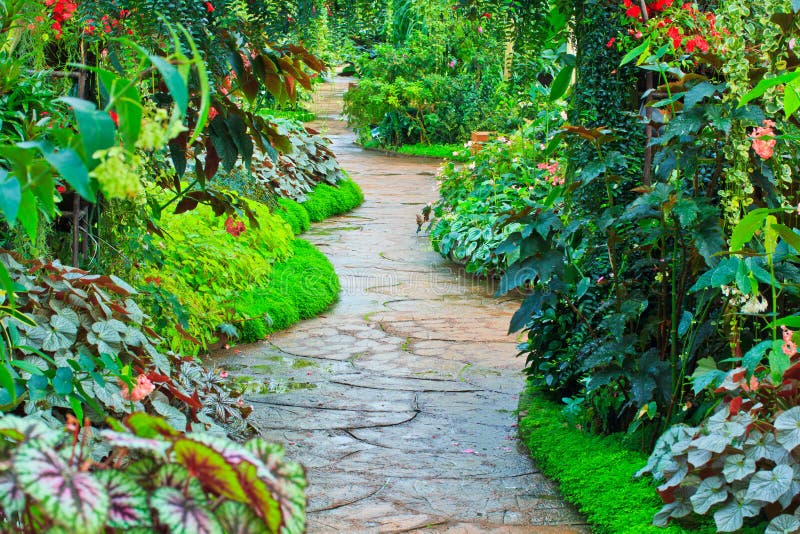 Walk in the garden stock photo. Image of garden, environment - 34279288
