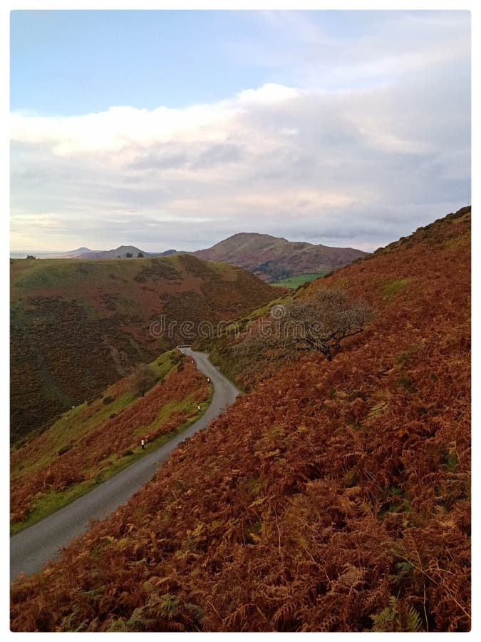 Long Mynd stock photo. Image of fall, shropshire, sunny - 17672200