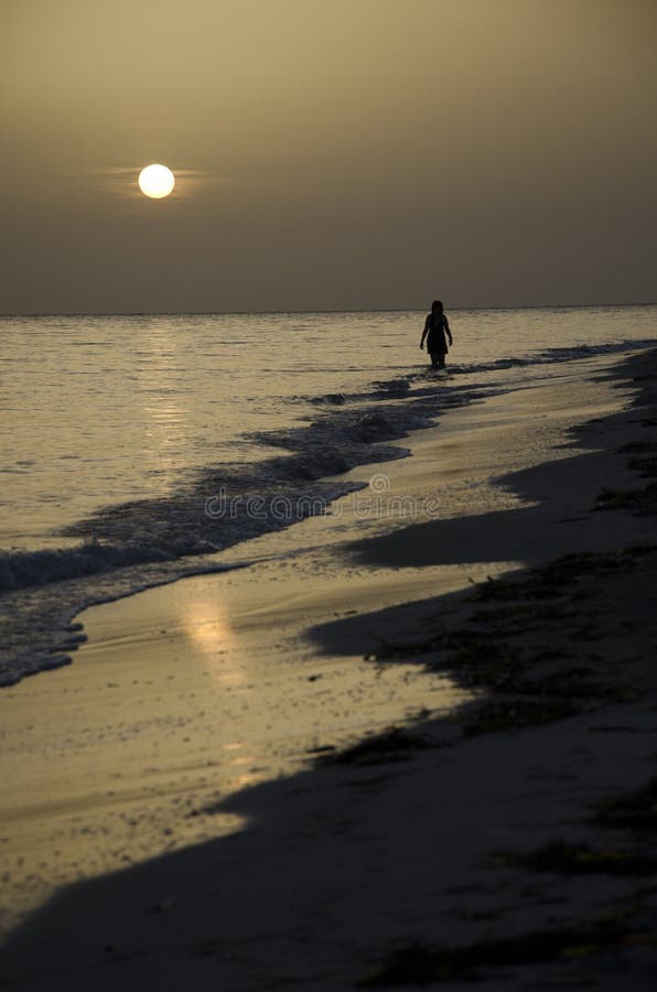 Walk in the morning stock photo. Image of beach, water - 86633478