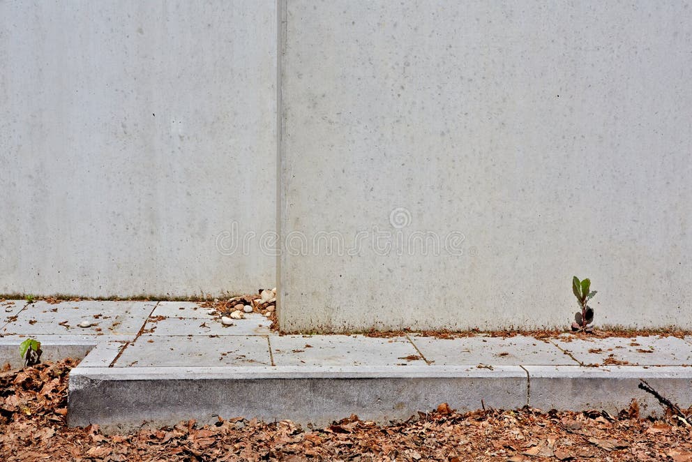 Walk through Munich with a View of Structures and Backgrounds Stock ...
