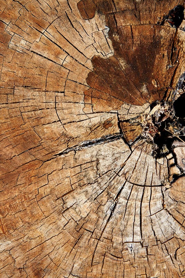 Walk through Munich with a View of Structures and Backgrounds Stock ...