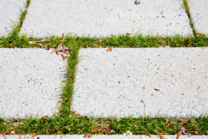 Walk through Munich with a View of Structures and Backgrounds Stock ...