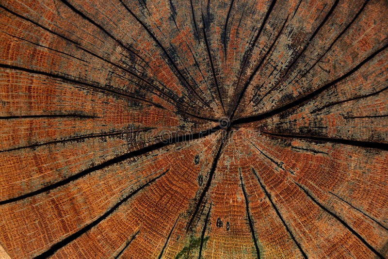 Walk through Munich with a View of Structures and Backgrounds Stock ...