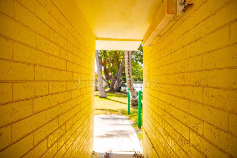 Walk through a Narrow Yellow Path Brightly Lit Stock Image - Image of ...