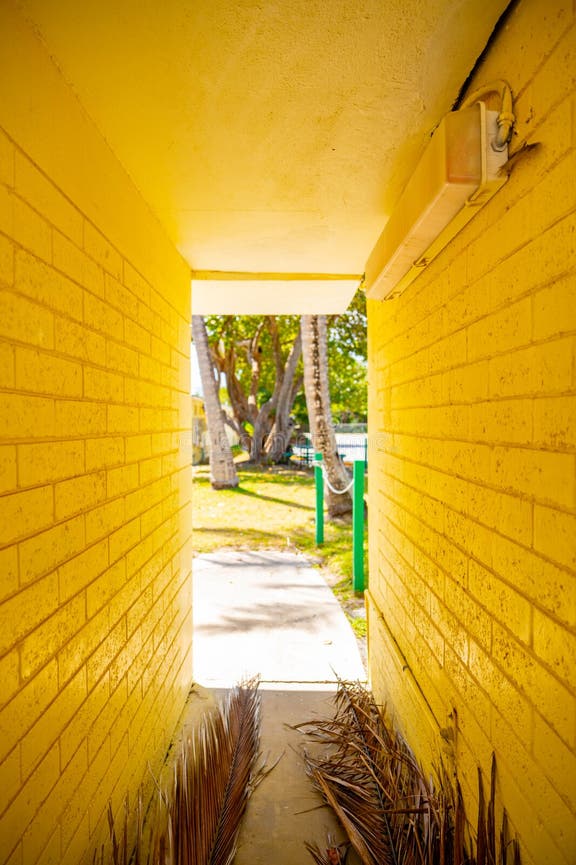 Walk through a Narrow Yellow Path Brightly Lit Stock Image - Image of ...