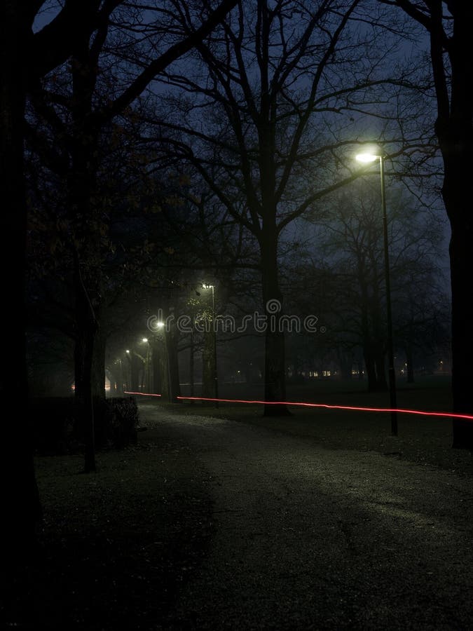 Path in a Park stock photo. Image of walk, night, mystic - 29701386