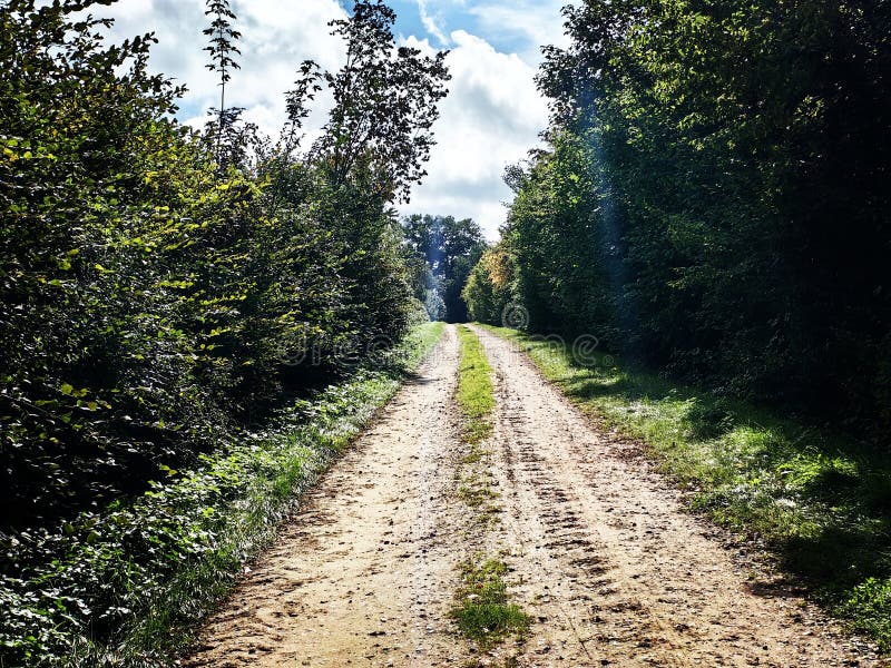 Walk in October in Northern Germany Stock Photo - Image of germany ...