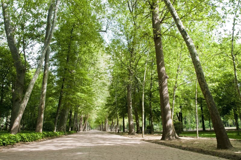 Walkway through Spring Scenery Stock Photo - Image of artistic, green ...