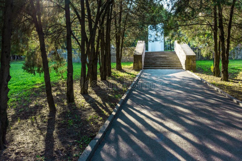 Walk in the park stock image. Image of tree, soil, park - 75577197